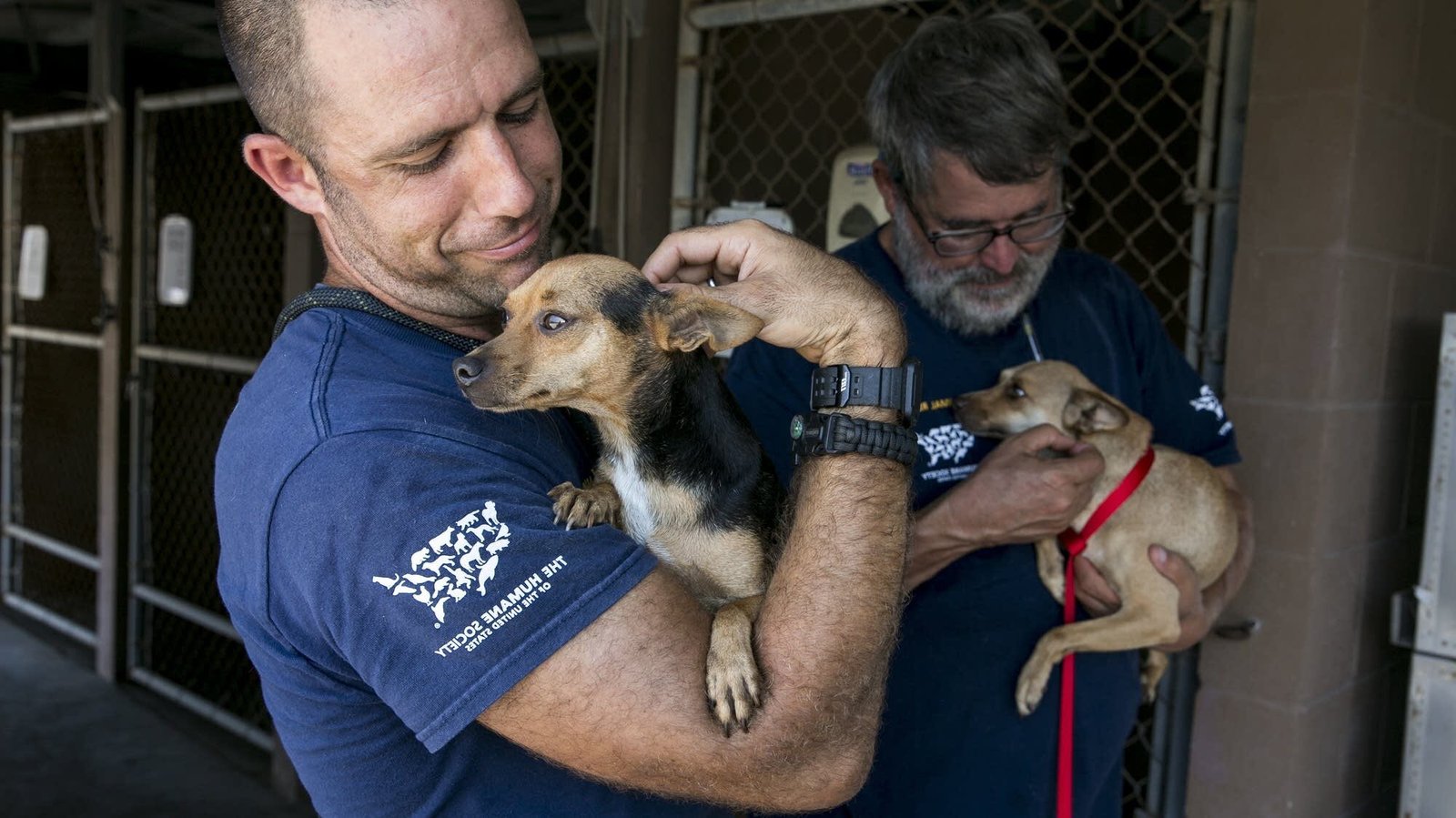 Comment la Société Protectrice des Animaux d'Annecy aide-t-elle les animaux