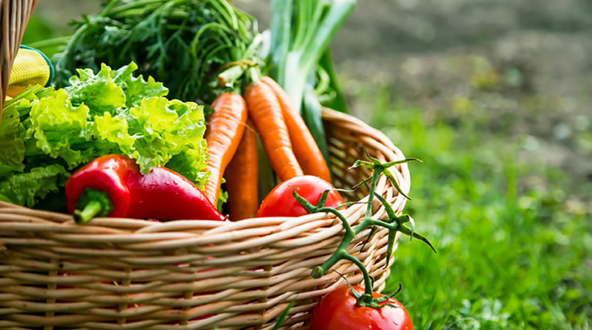 Quels sont les légumes et fruits de saison en France ce mois-ci
