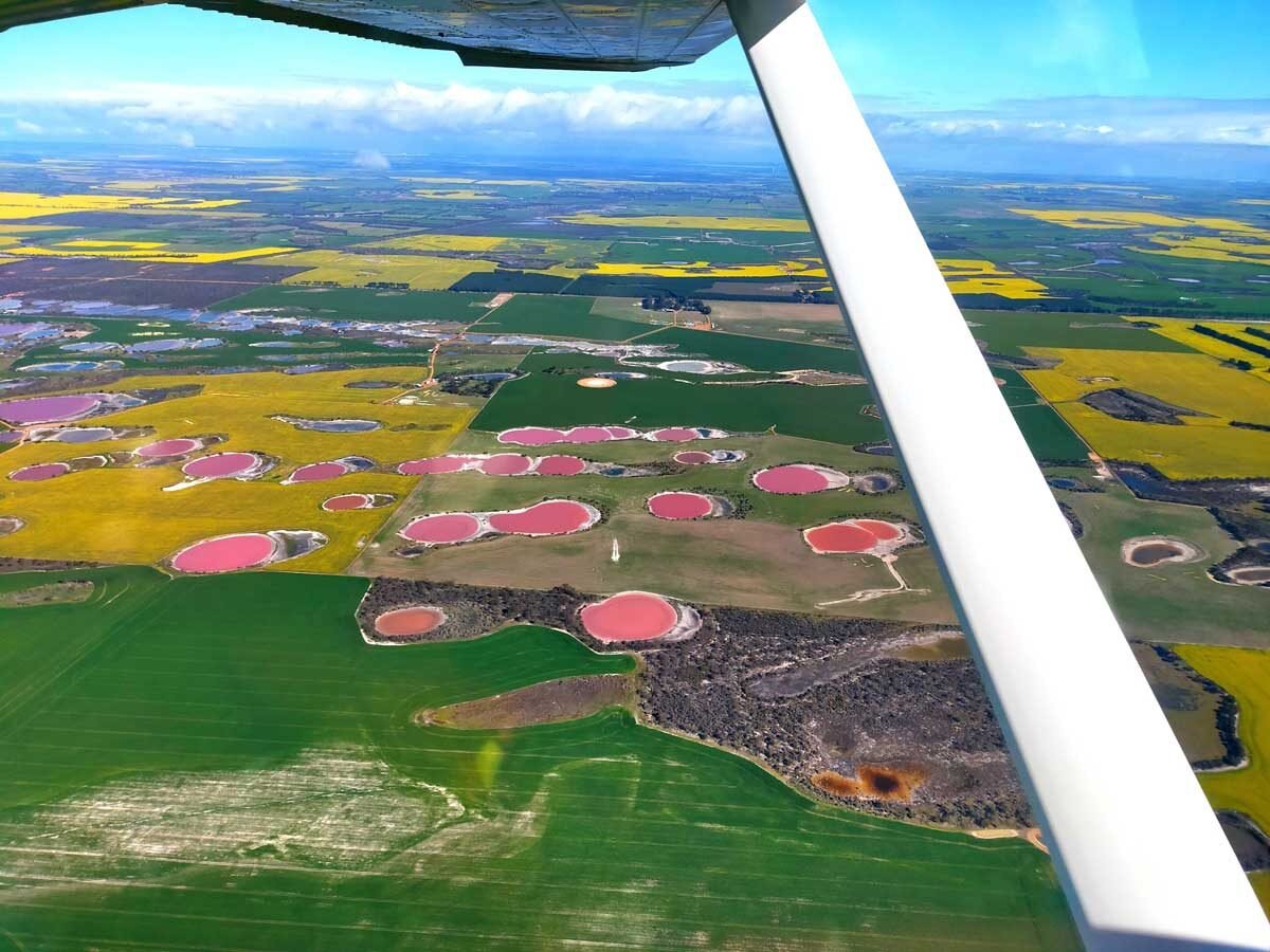 Pourquoi le lac rose d'Espérance en Australie occidentale est-il si unique